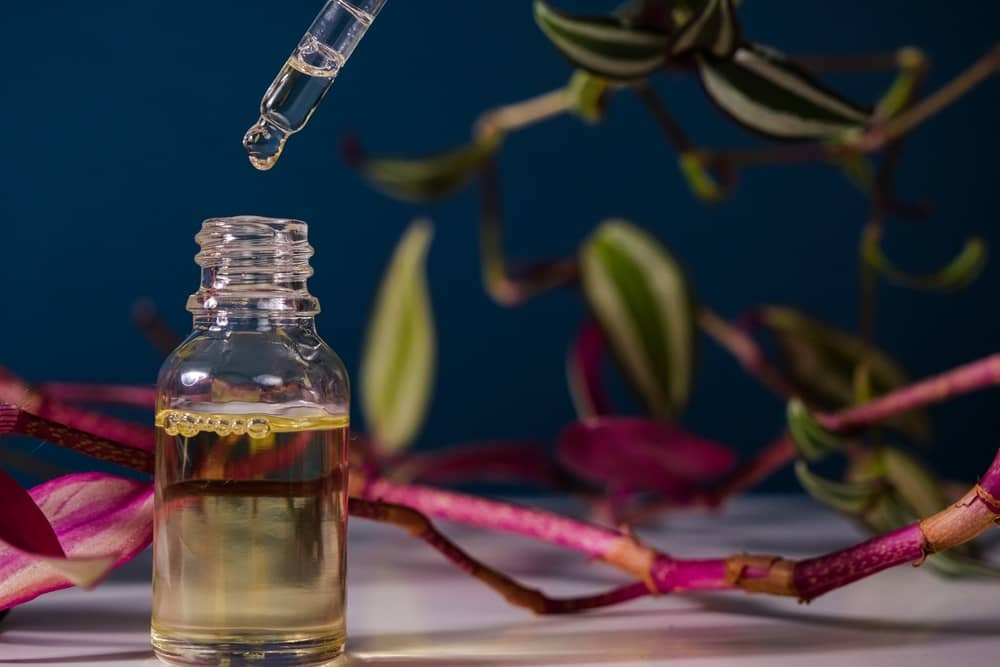 Best Axe Signature Gold Perfume Review - Find Out Which One is Right ...