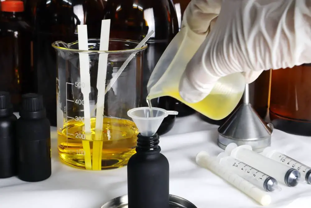 10 Strong Perfumes That Last Long For Ladies - Grooming Wise