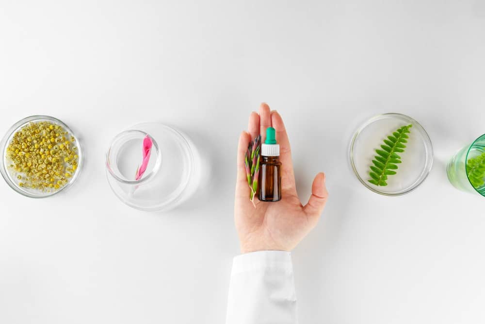 Perfume With Vanilla Notes | Top 5 Perfumes With Vanilla Notes ...