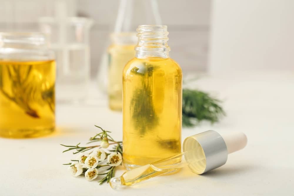 What Cologne Does Drake Wear? - Grooming Wise