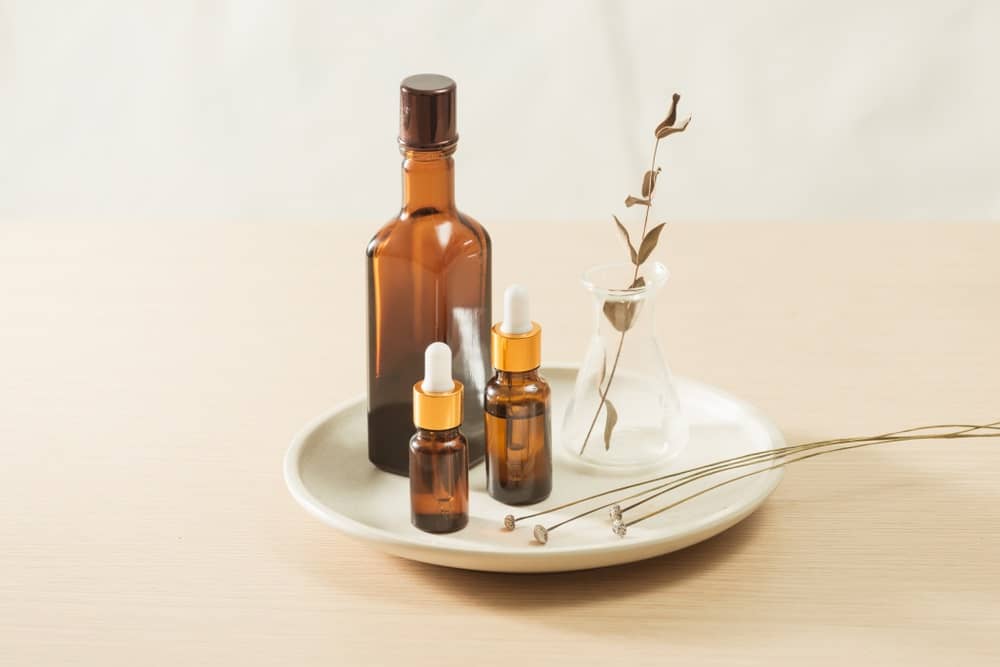 What Does Sweet Like Candy Smell Like - Grooming Wise