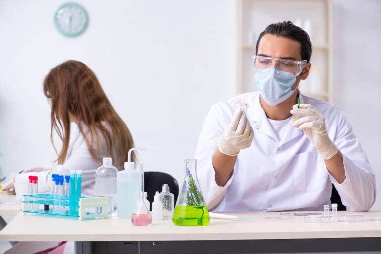 What Does Vera Wang Princess Smell Like - Grooming Wise