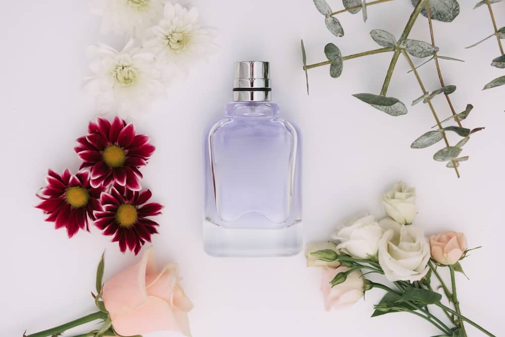 What Perfume Is Similar To Gucci Rush - Grooming Wise
