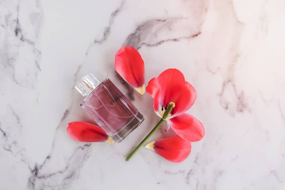 Perfume Ralph Lauren Azul - Grooming Wise