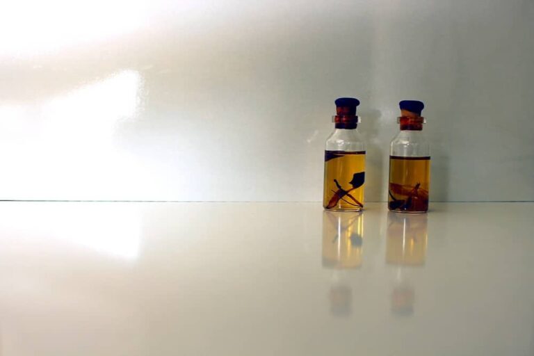 Perfume Similar To Longing By Coty - Grooming Wise