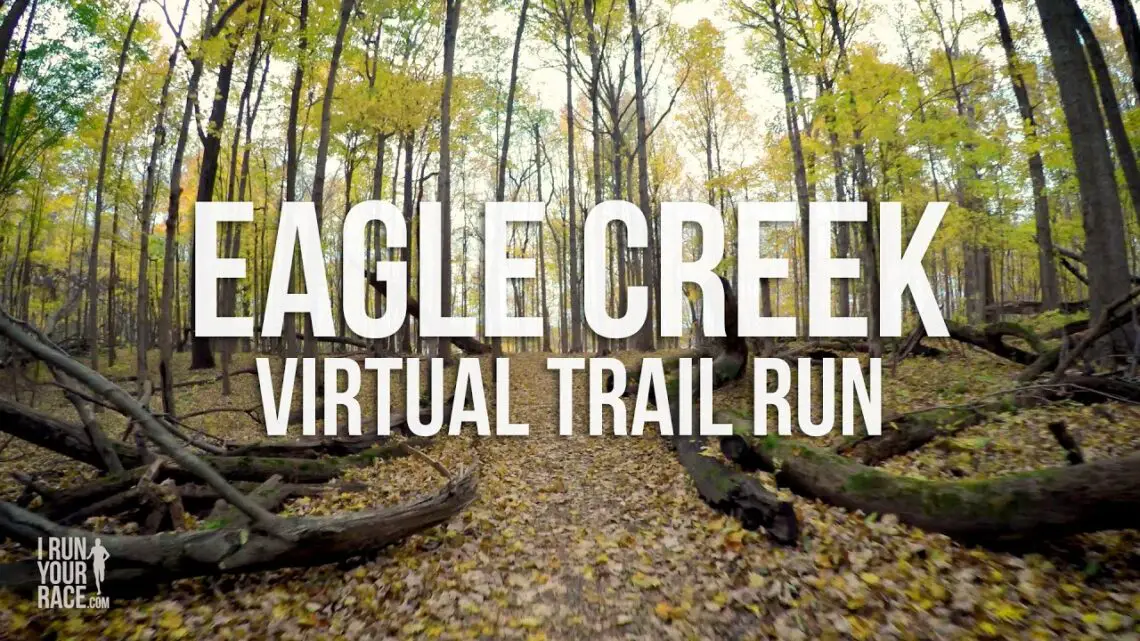 Treadmills With Virtual Trails - Grooming Wise