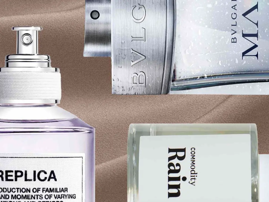 What is the Smell of Rain on Asphalt Called - Grooming Wise