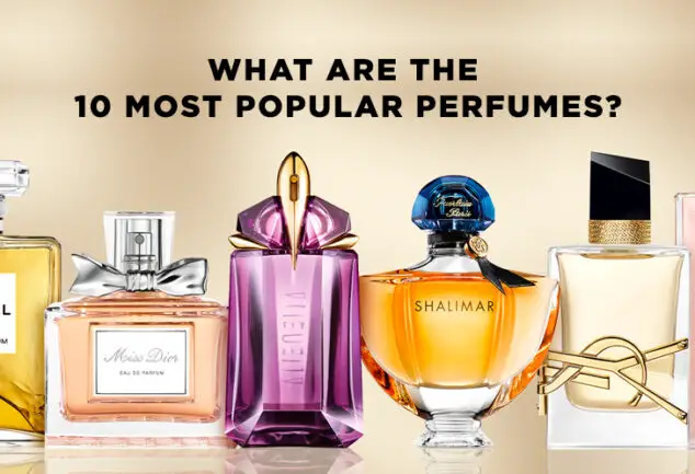 Best Perfume Similar To Versace Versus - Grooming Wise