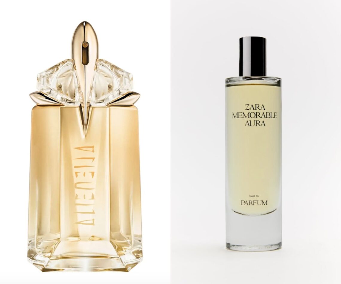 Best Zara Perfumes for Women: Irresistible Scents! - Grooming Wise