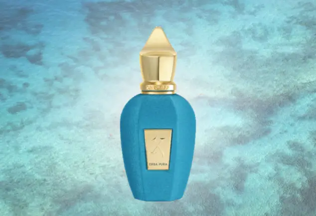 5 Best Perfume Similar To Inis - Grooming Wise