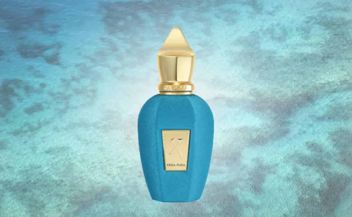 Can Can Perfume Secrets: Unveil Its Seductive Charm - Grooming Wise