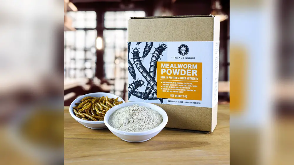 Are Protein Powder Made from Worms: Shocking Truth Revealed! - Grooming ...