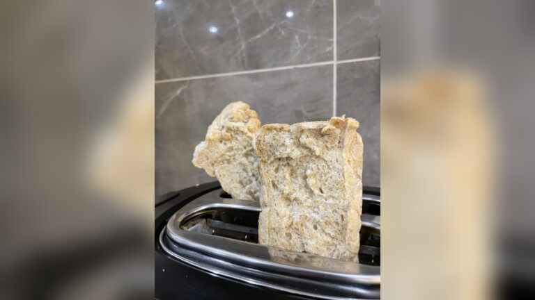 Can I Mix Psyllium Husk With Protein Powder: Ultimate Guide Revealed ...